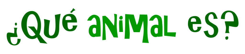 ¿Qué animal es? El reto de adivinanzas sobre animales - Adivinanzas