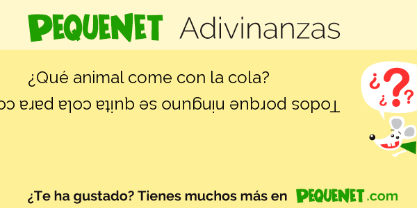 ¿Qué animal come con la cola?